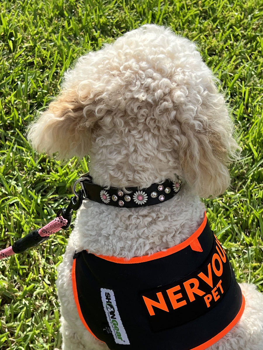 NERVOUS DOG ALERT VEST by SHONGear – SHONGear Designs